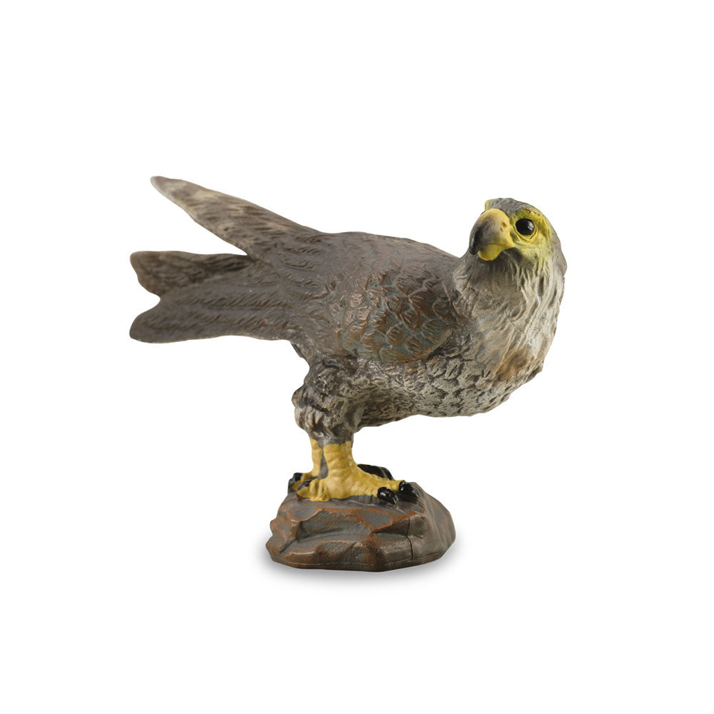 CollectA Peregrine Falcon Figure (Small) - LatestBuy